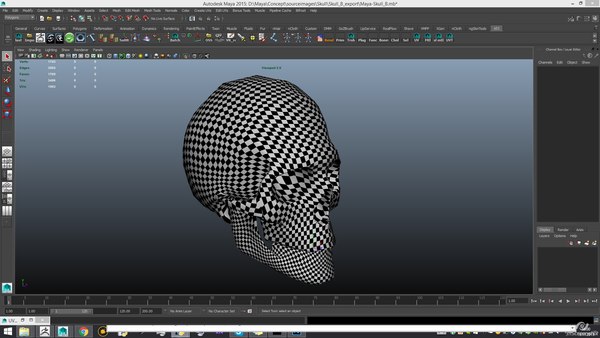 3d skull