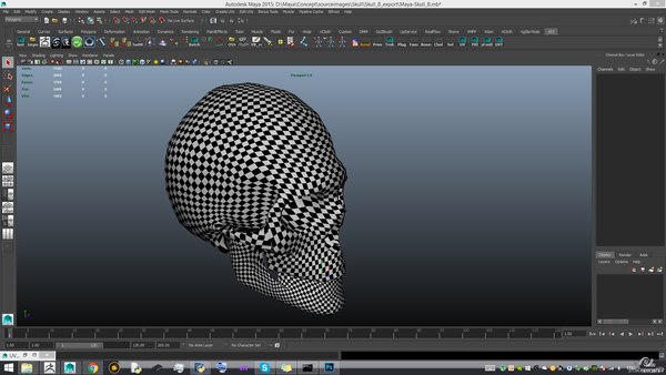 3d skull