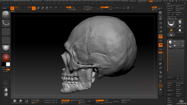 3d skull