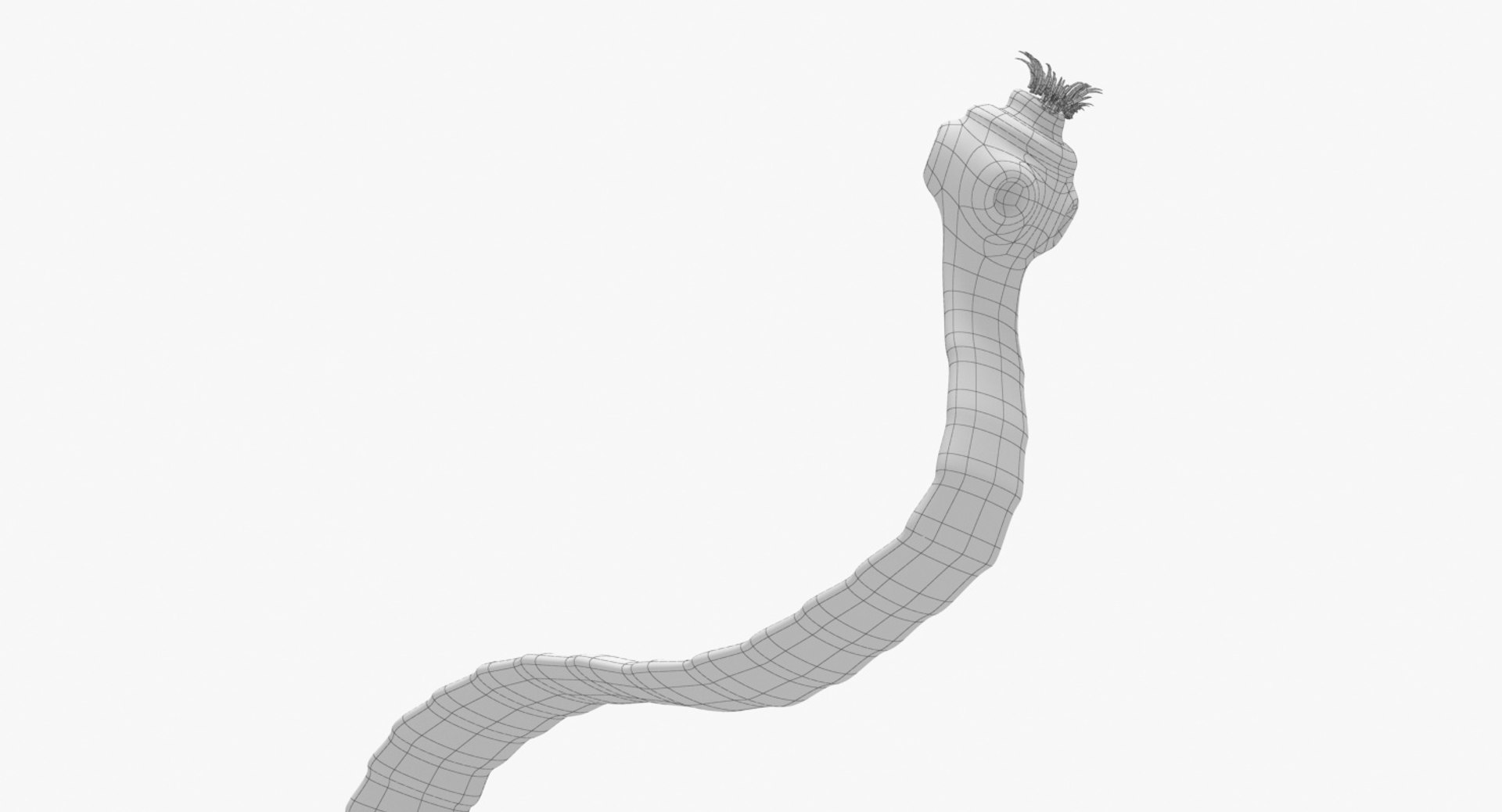 Tapeworm 3D model - TurboSquid 1348645
