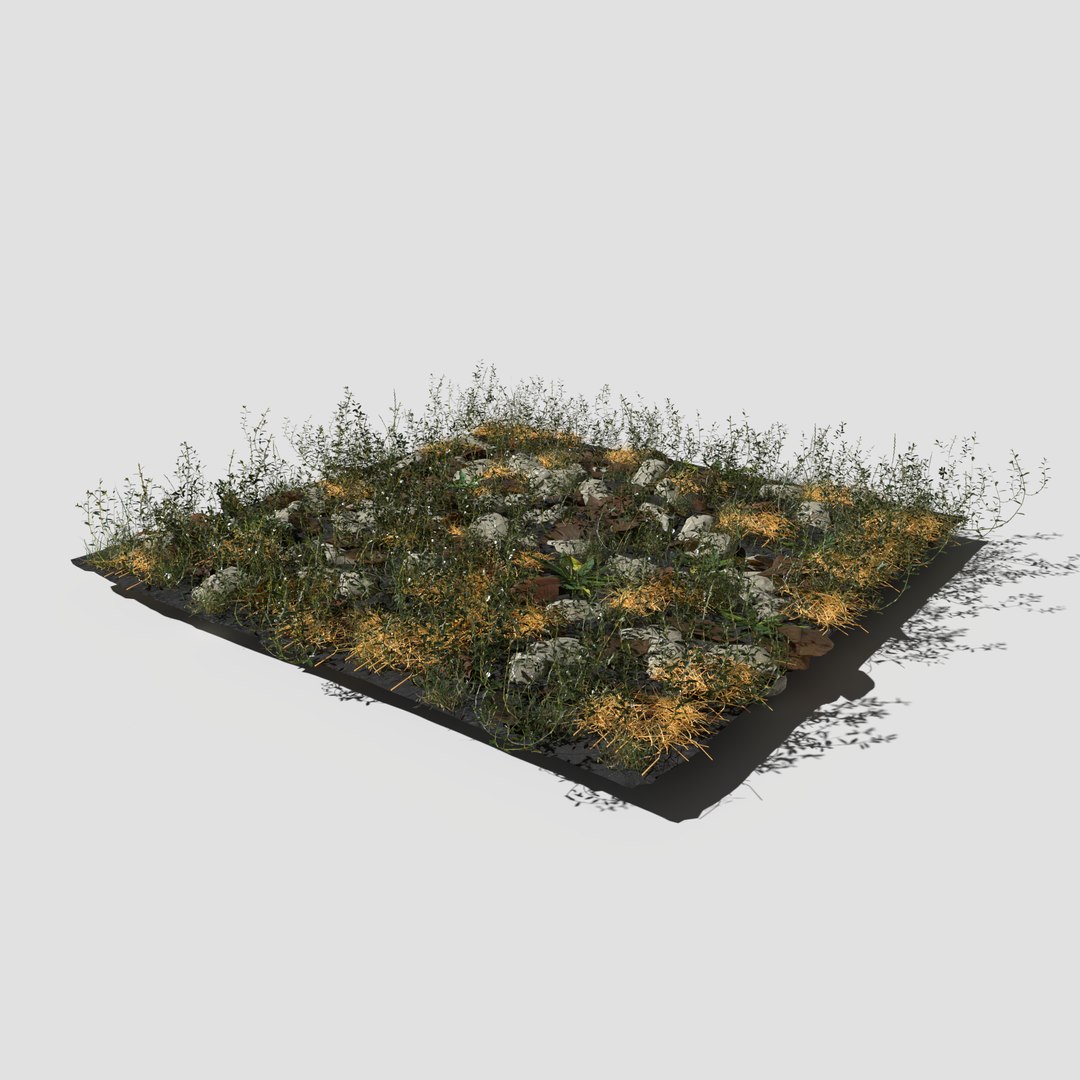 Pbr Knotweed Meadow Patch 3D - TurboSquid 1522784