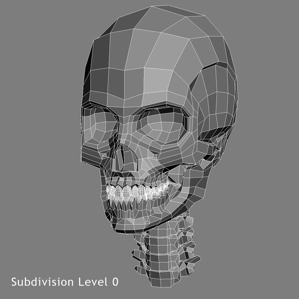 anatomical skull 3d model