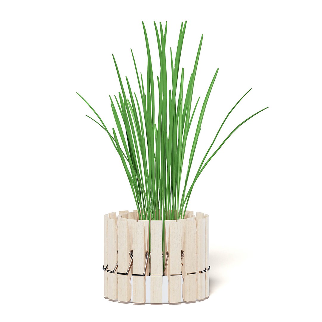 3D Plant Pot Clothes Pegs Model - TurboSquid 1386805