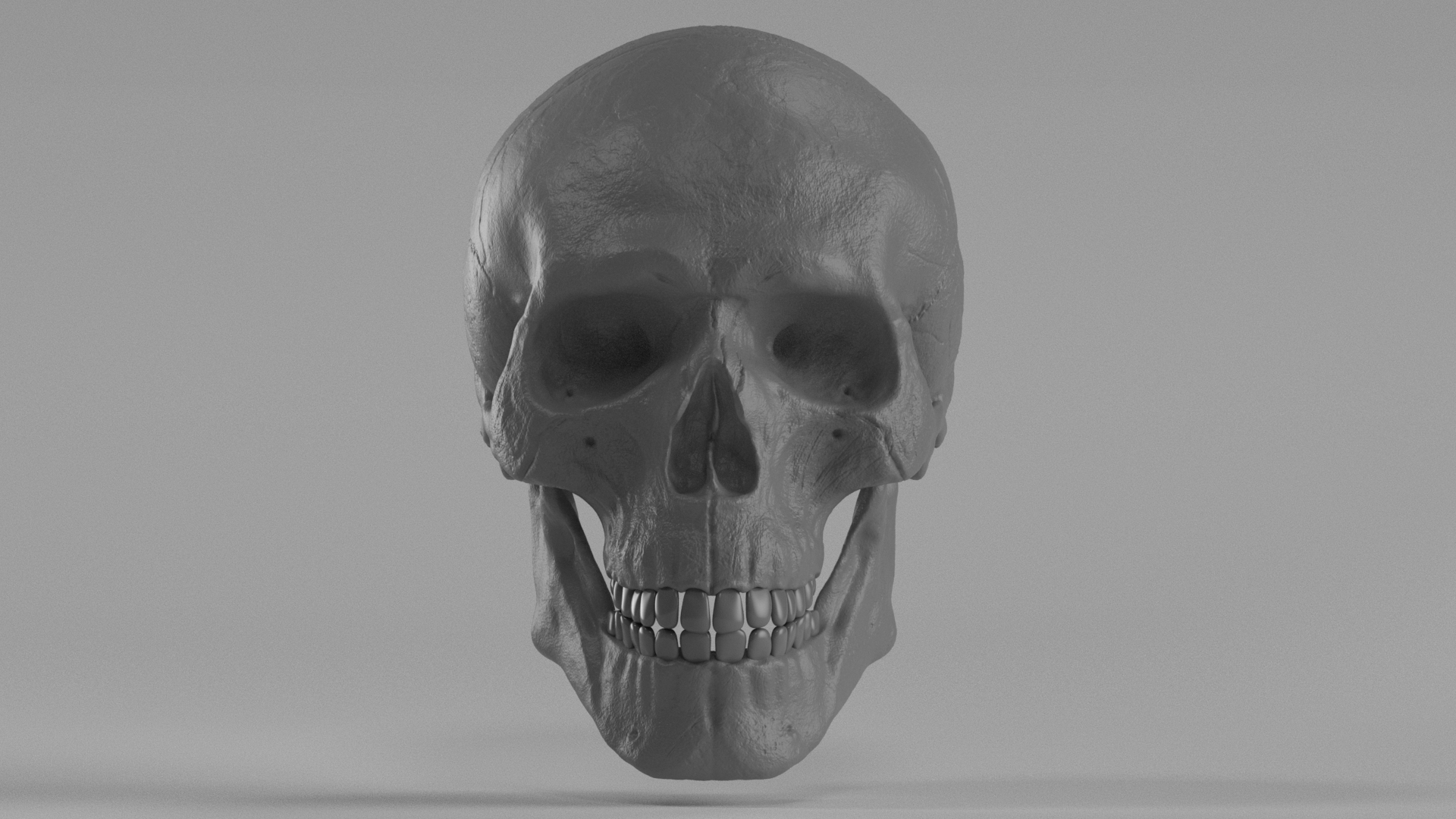Human Skull model - TurboSquid 2058723