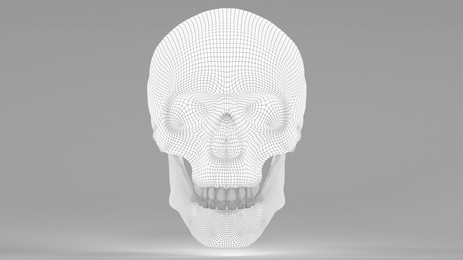 Human Skull model - TurboSquid 2058723