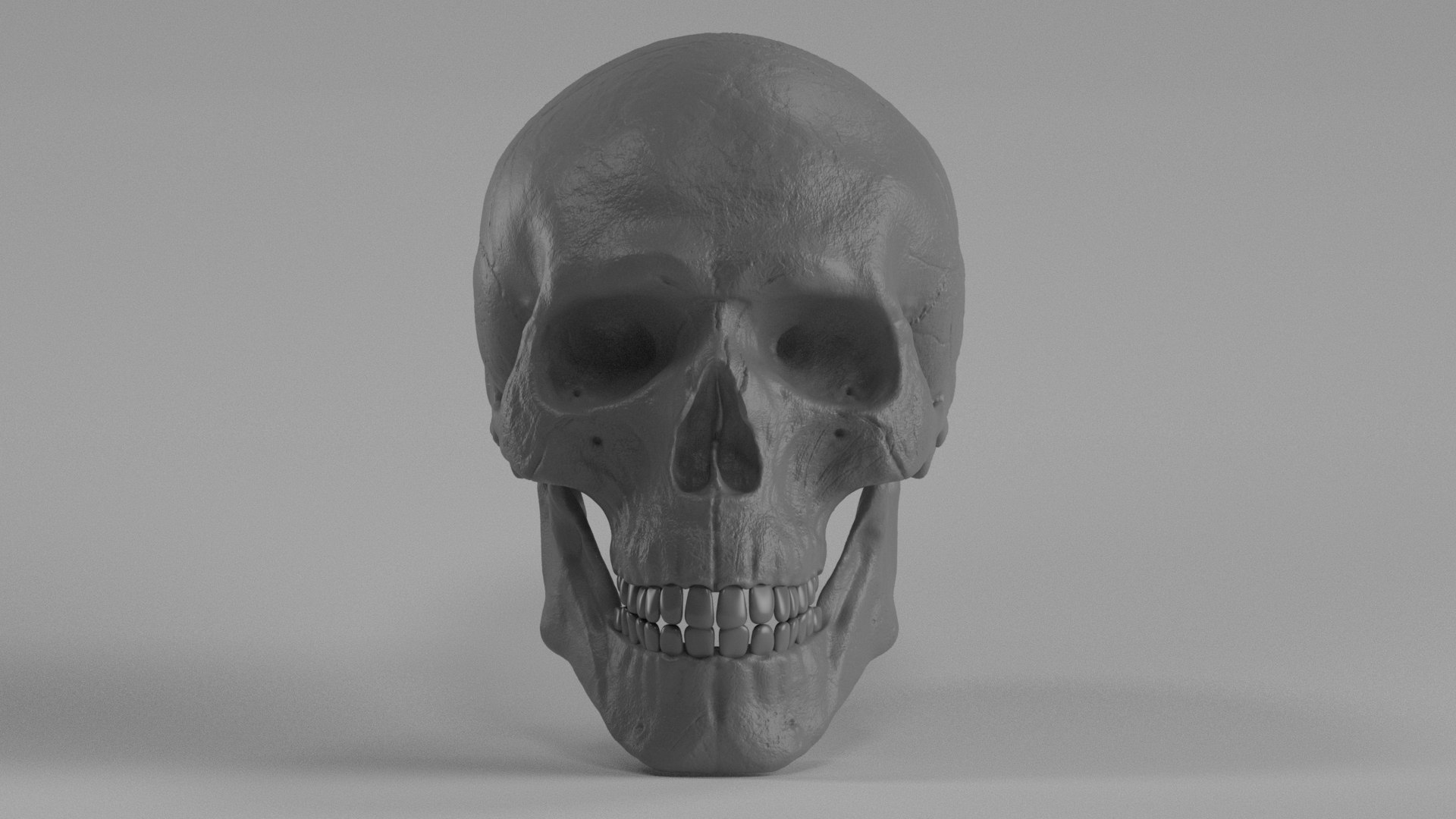 Human Skull model - TurboSquid 2058723