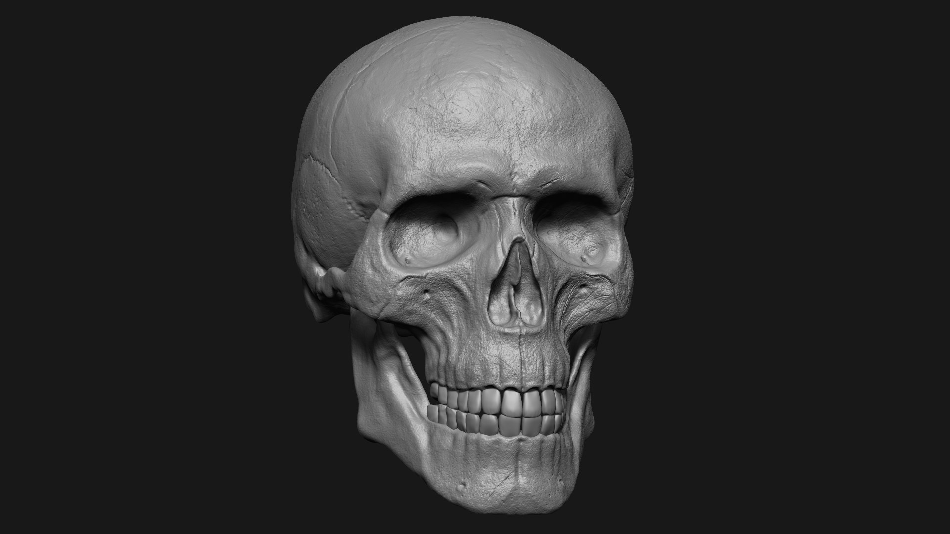 Human Skull model - TurboSquid 2058723