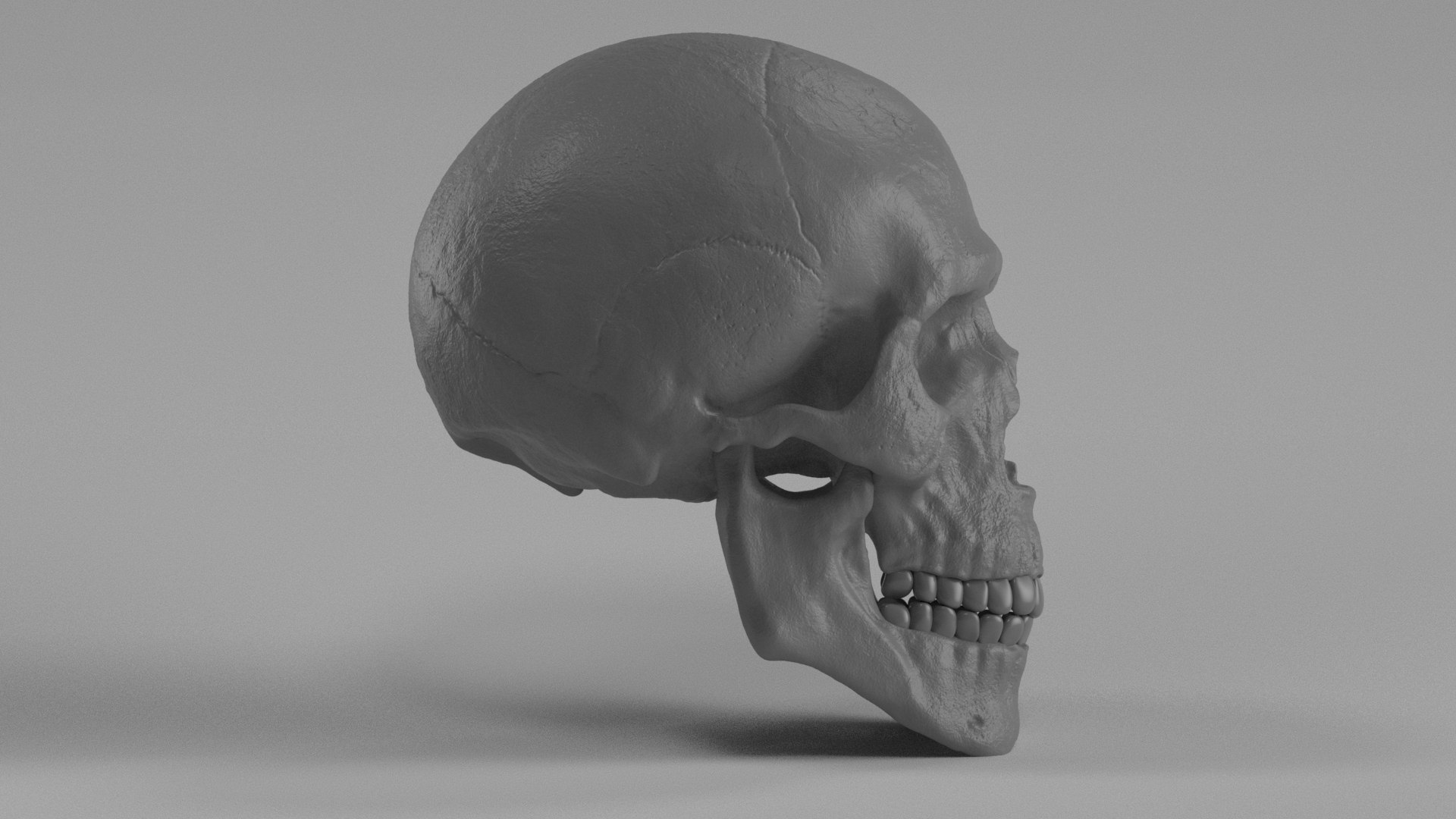 Human Skull model - TurboSquid 2058723