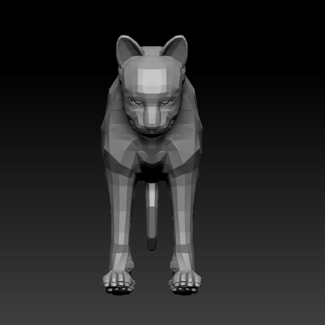3D Cat Model - TurboSquid 1197440