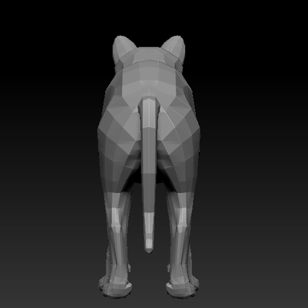 3D Cat Model - TurboSquid 1197440