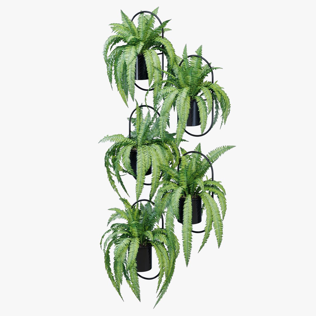 Hanging 3D Model - TurboSquid 1651875