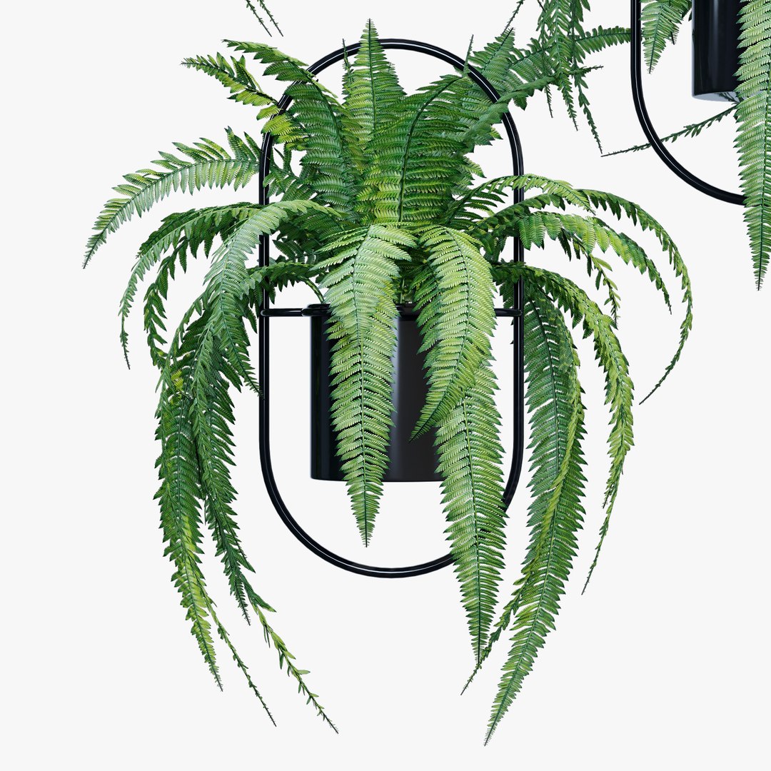 Hanging 3D Model - TurboSquid 1651875
