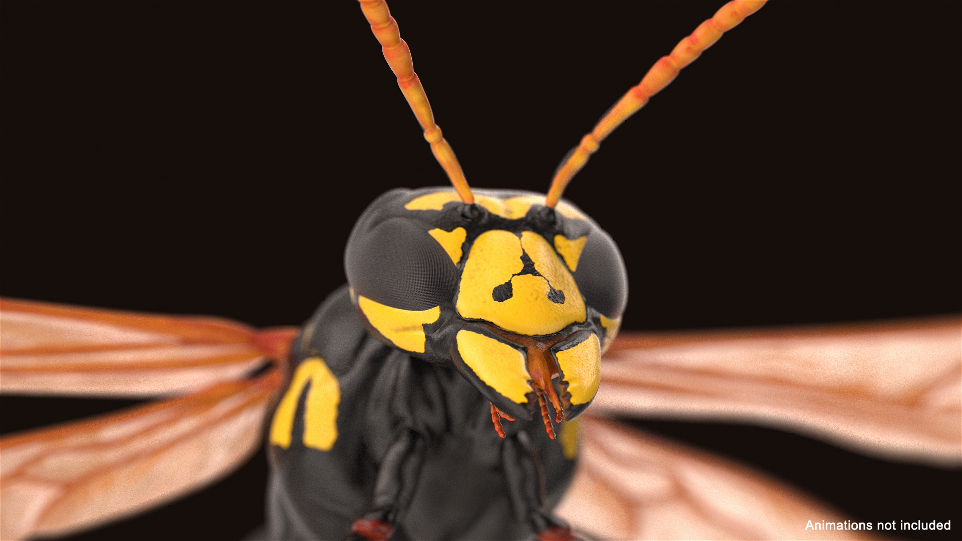 3D Paper Wasp Rigged Model - TurboSquid 1632032