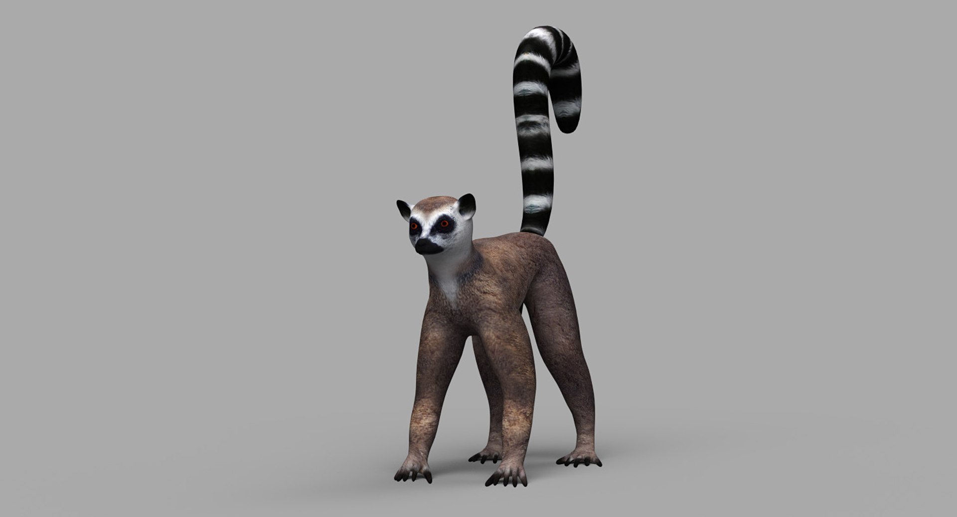 lemur 3ds