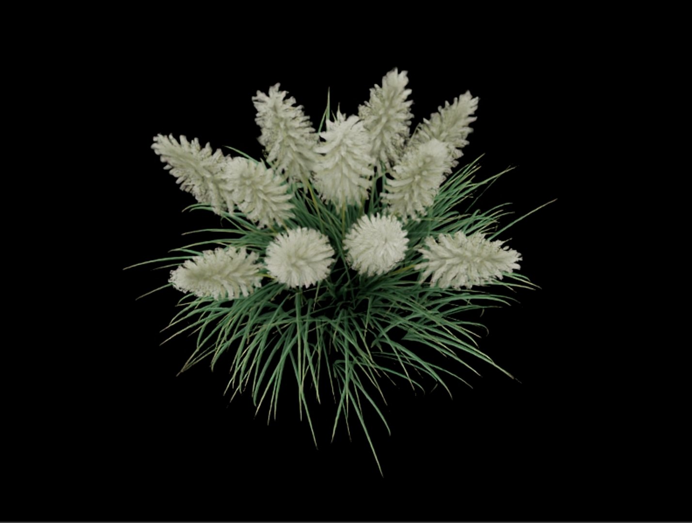 Reed Plant Model 3D - TurboSquid 2379239