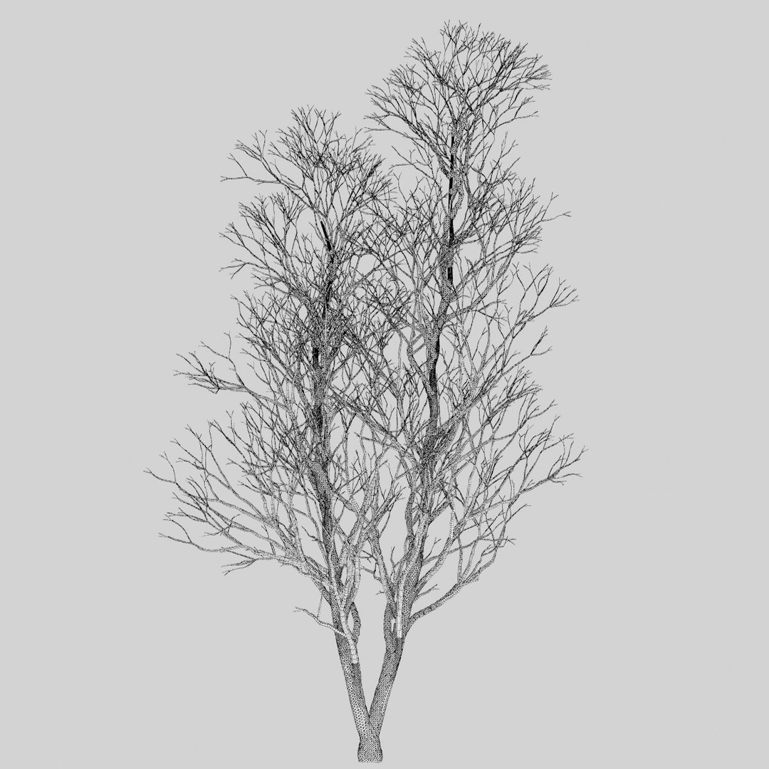 3d Winter Tree
