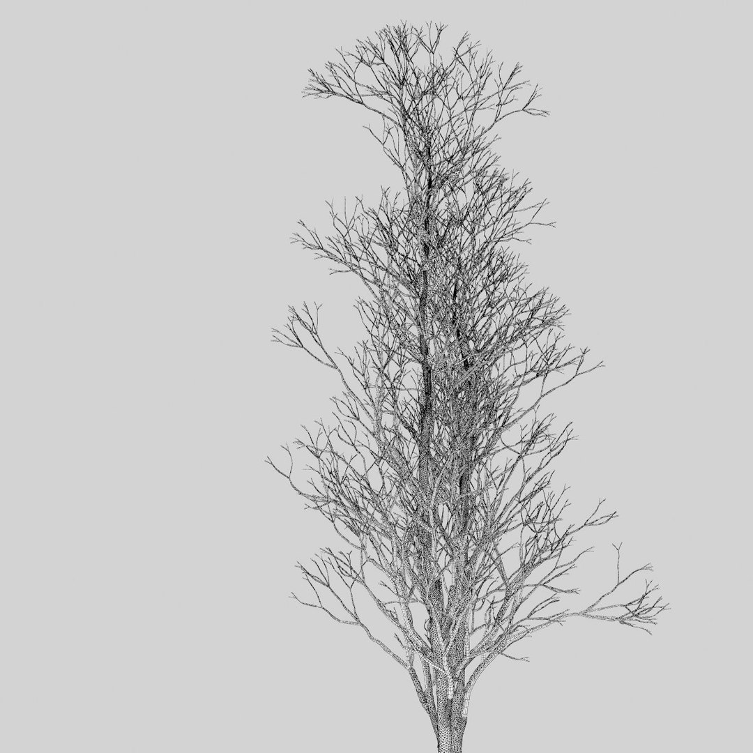 3d Winter Tree