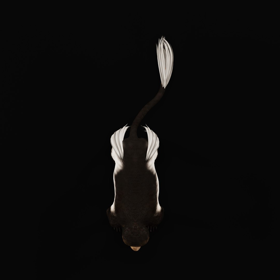 3D Black White Colobus Monkey Model - TurboSquid 2397291