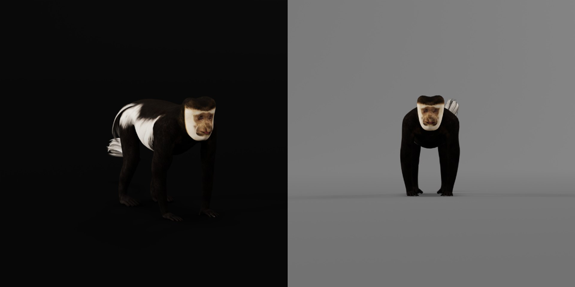 3D Black White Colobus Monkey Model - TurboSquid 2397291