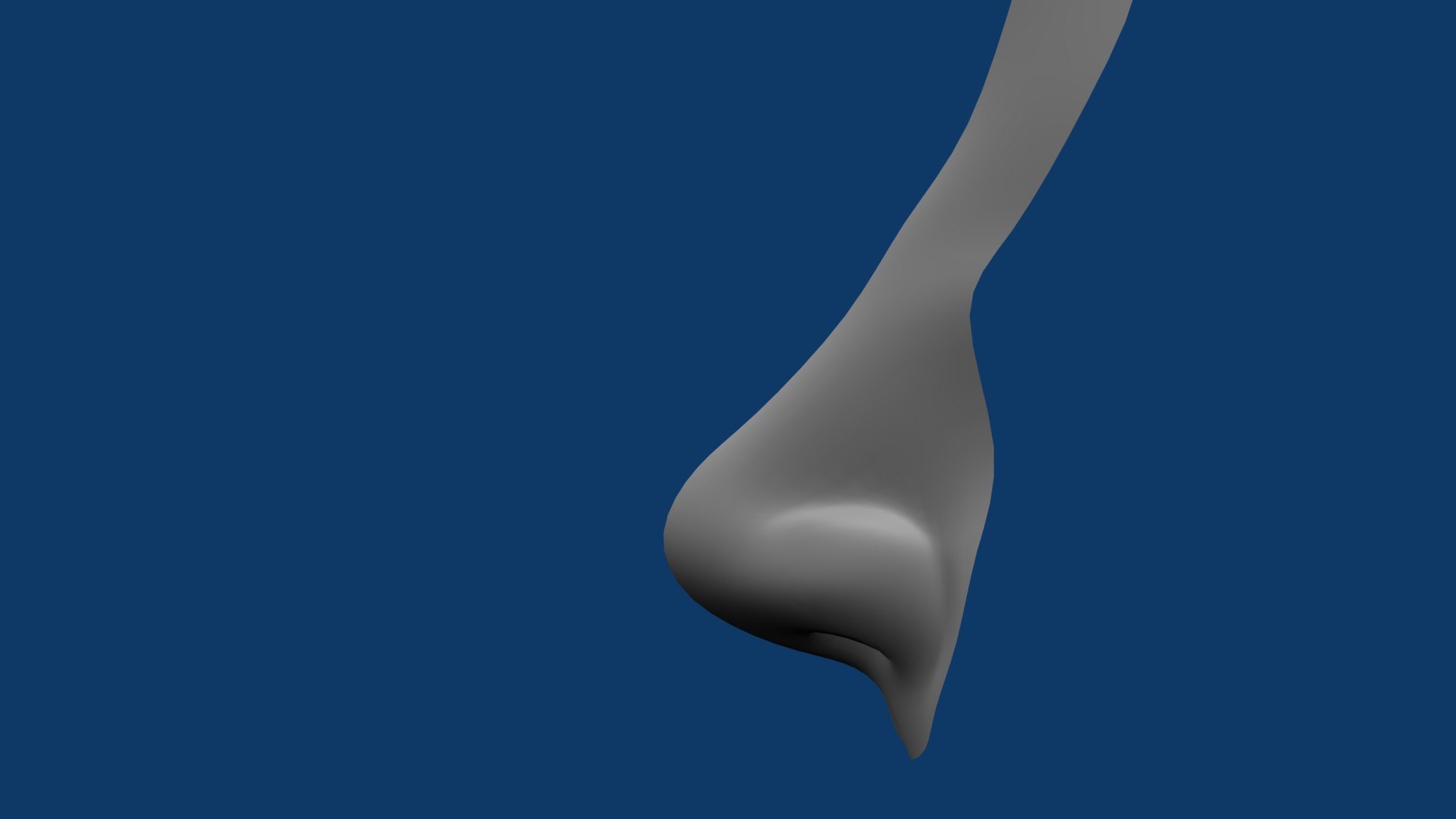 Nose Cool 3d Model