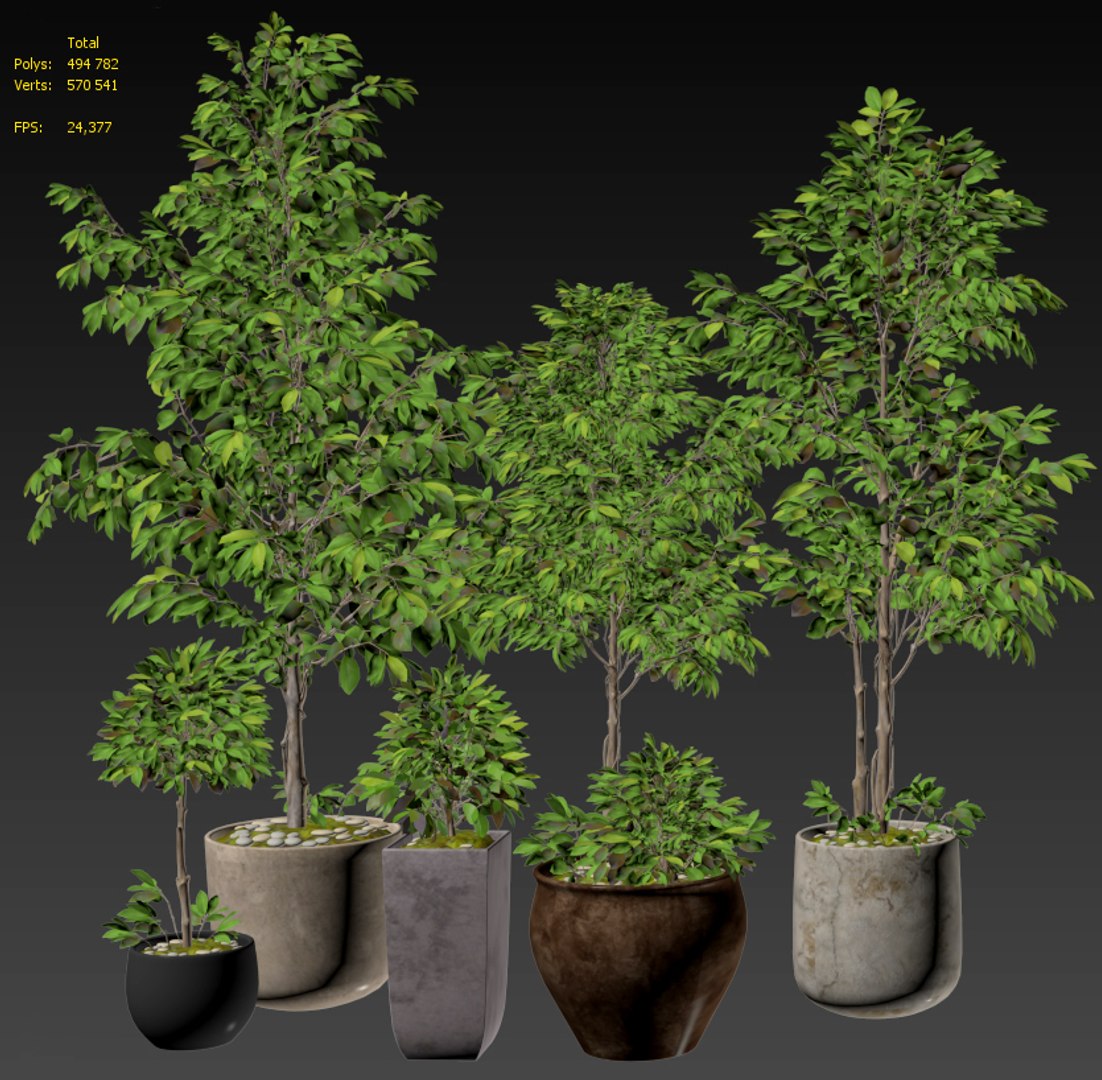 Tree 3D - TurboSquid 1246949