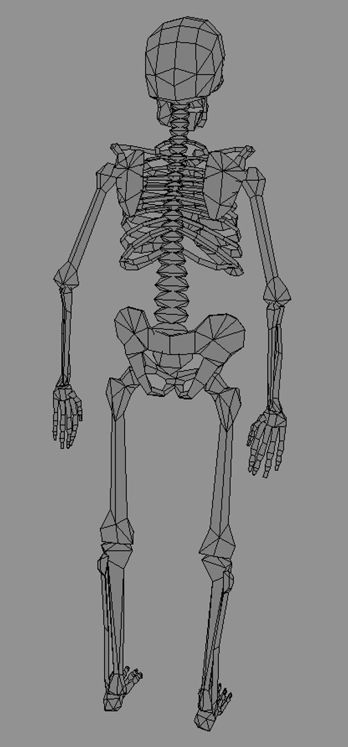 3d Human Skeleton