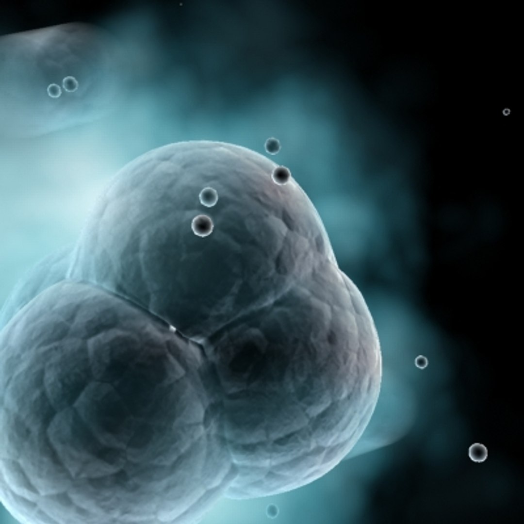 3d Atom Electrons Model