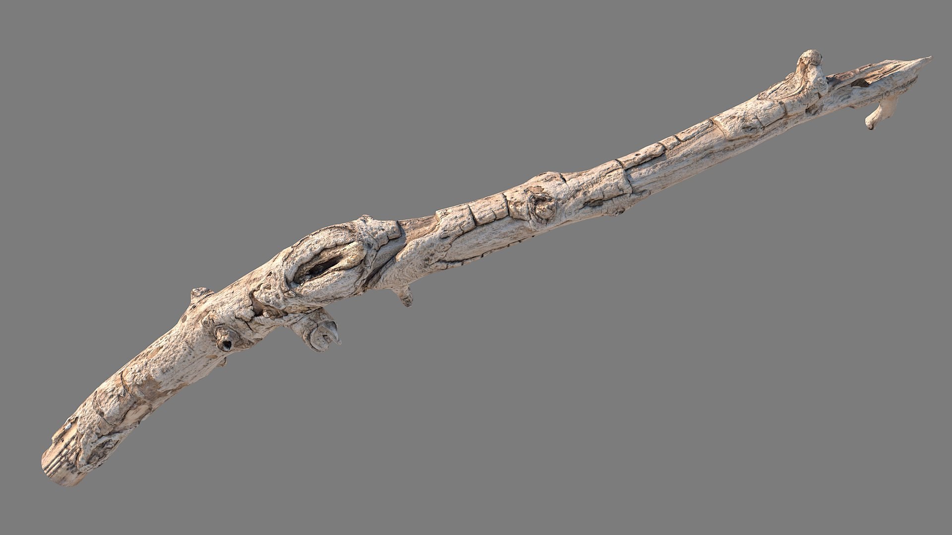Twig Scanned 23 3D - TurboSquid 2088531