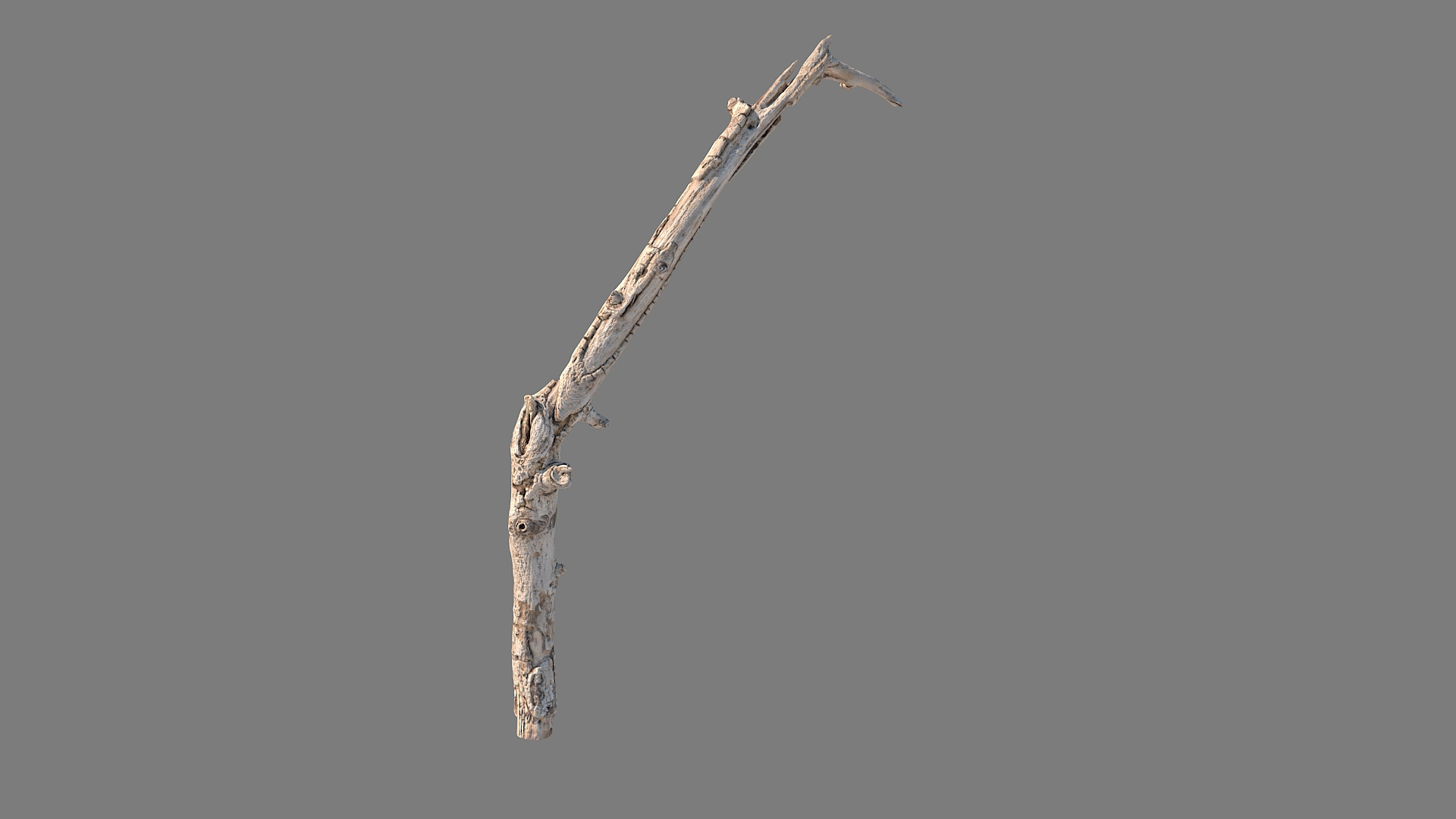 Twig Scanned 23 3D - TurboSquid 2088531