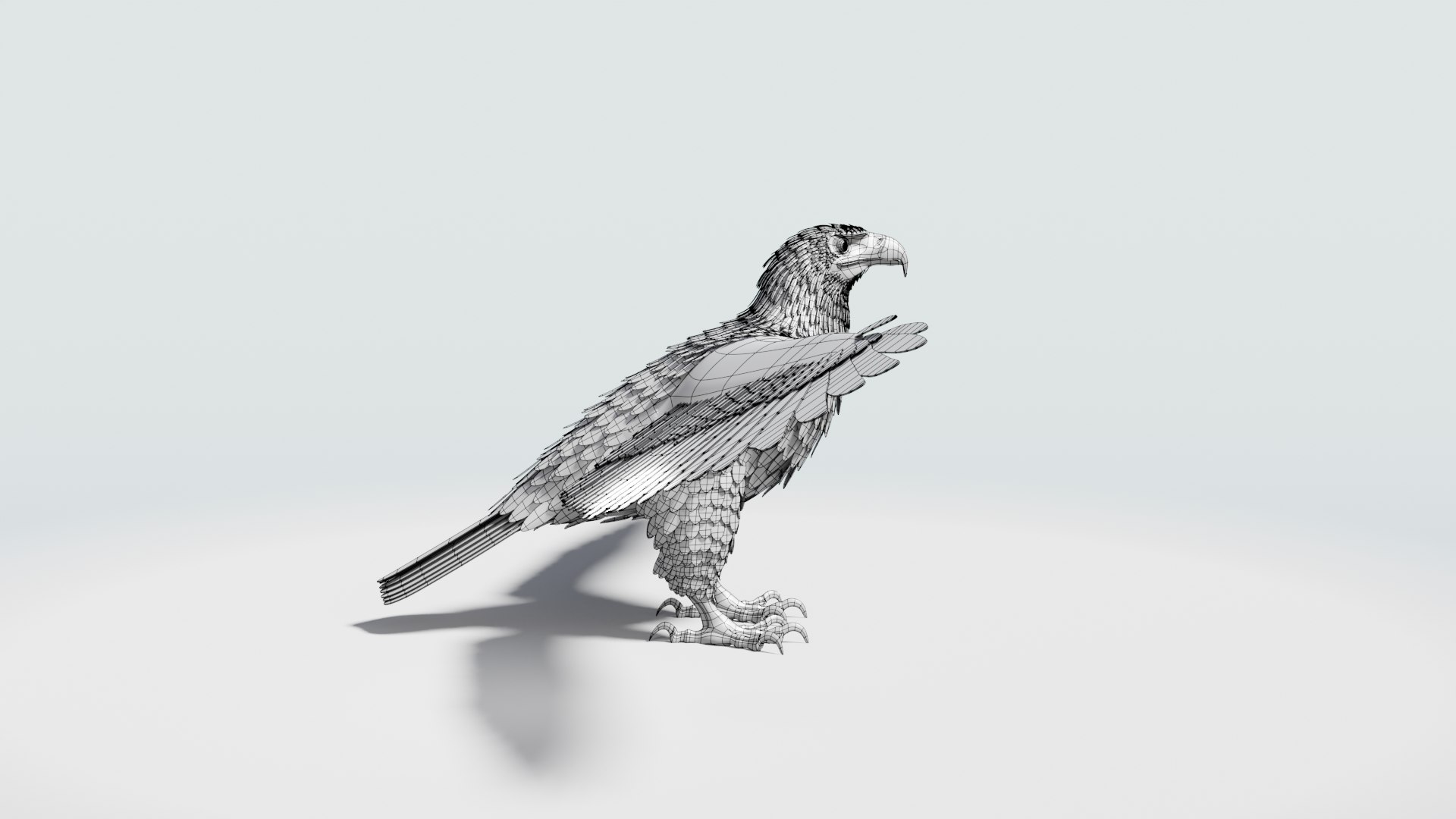 3D Bald Eagle - BLENDER - TurboSquid 1938037