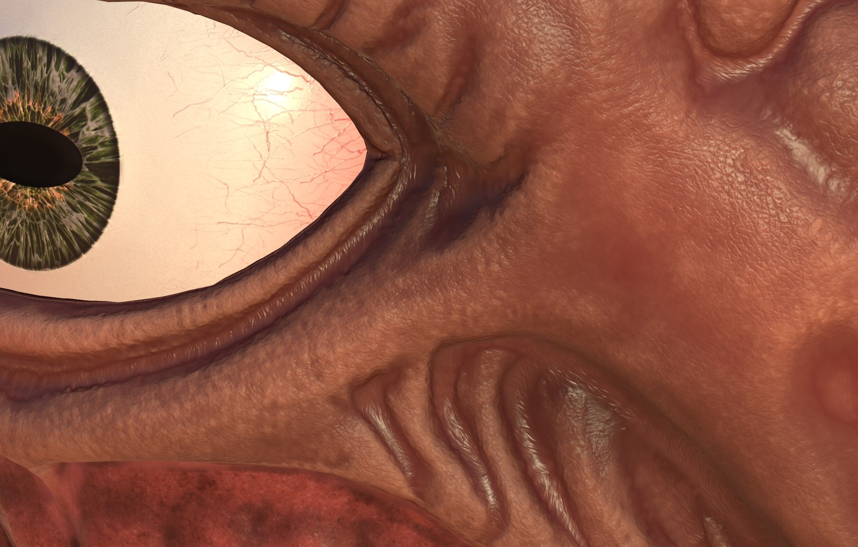 Beholder Monster 3D Model - TurboSquid 1591919