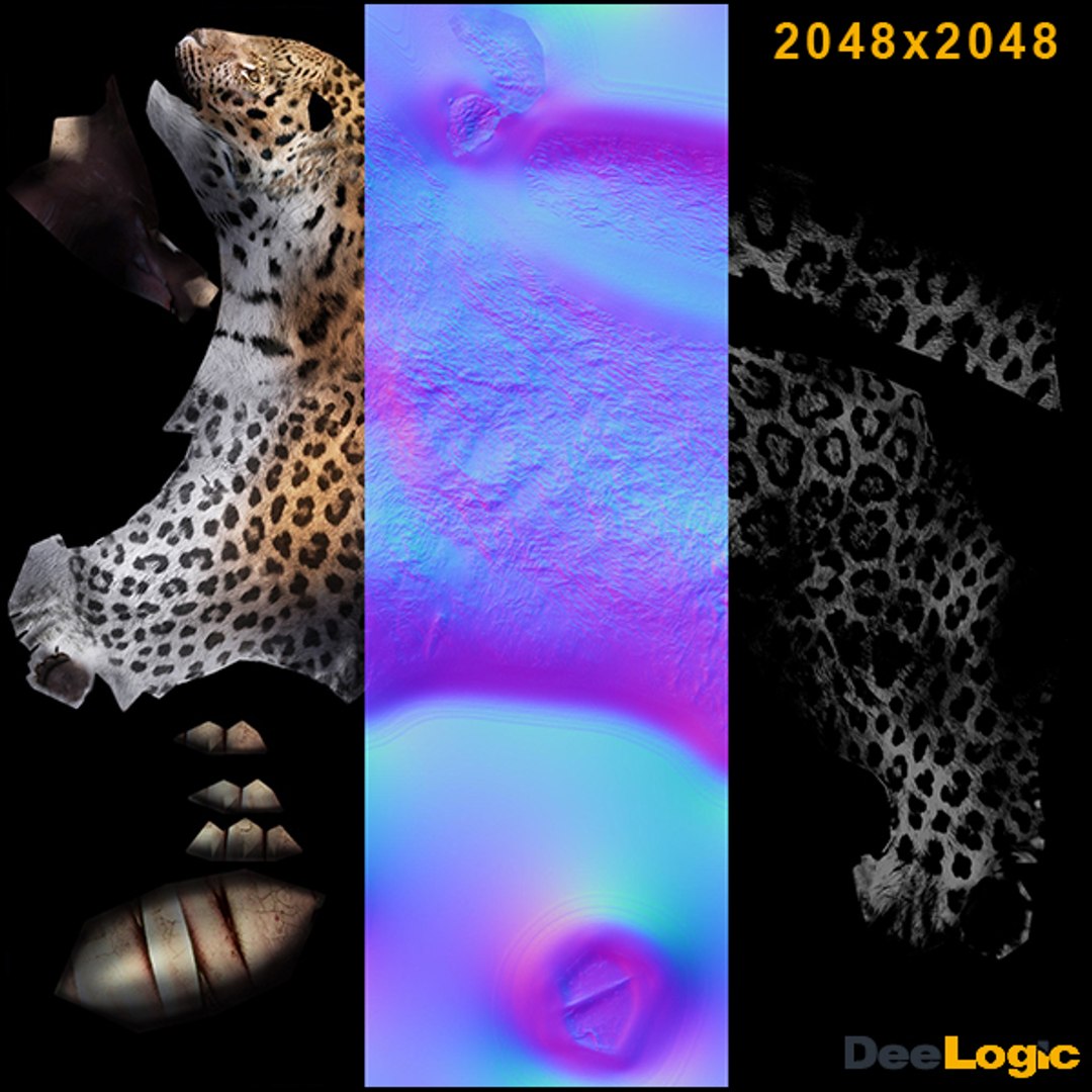 Max Leopard Animations