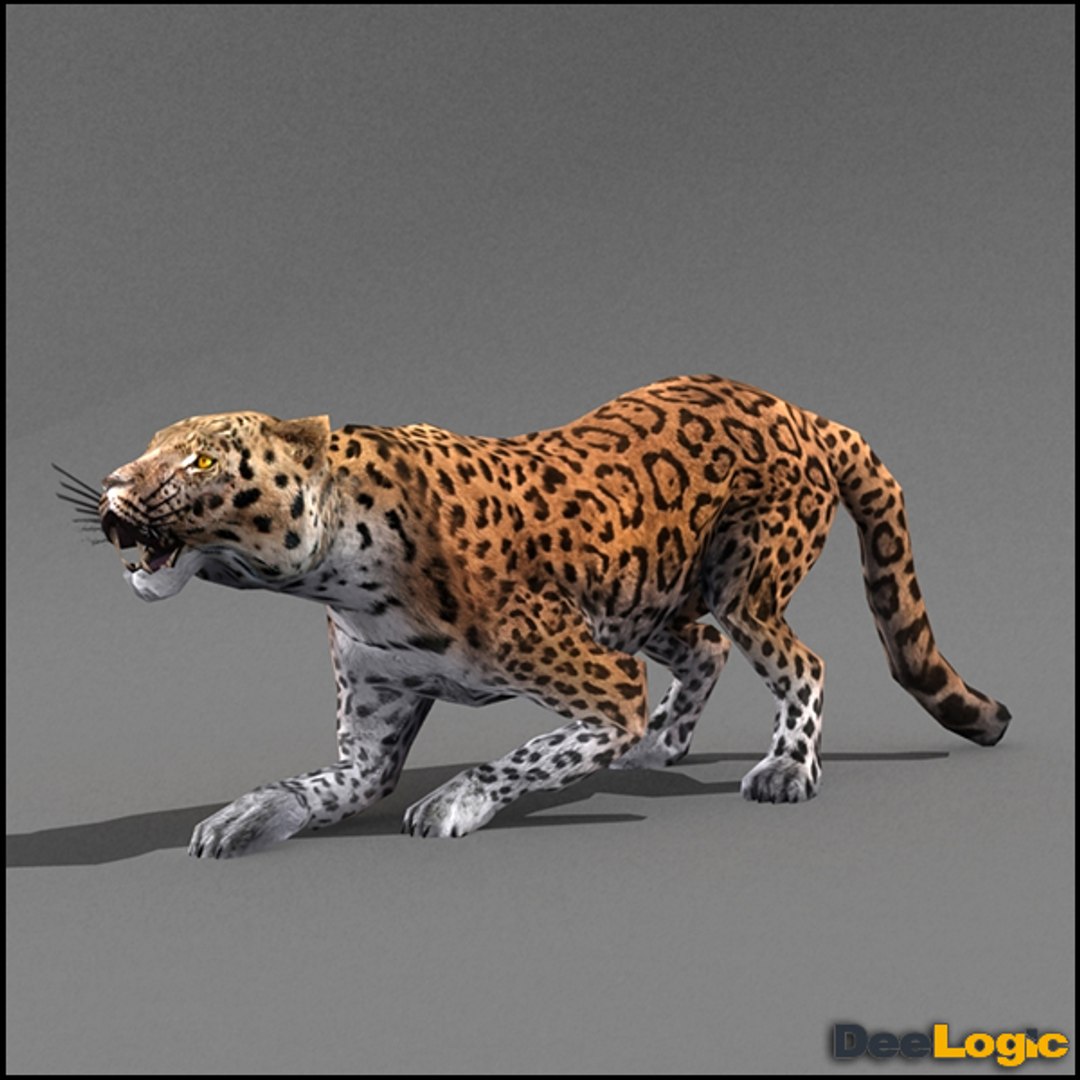 Max Leopard Animations