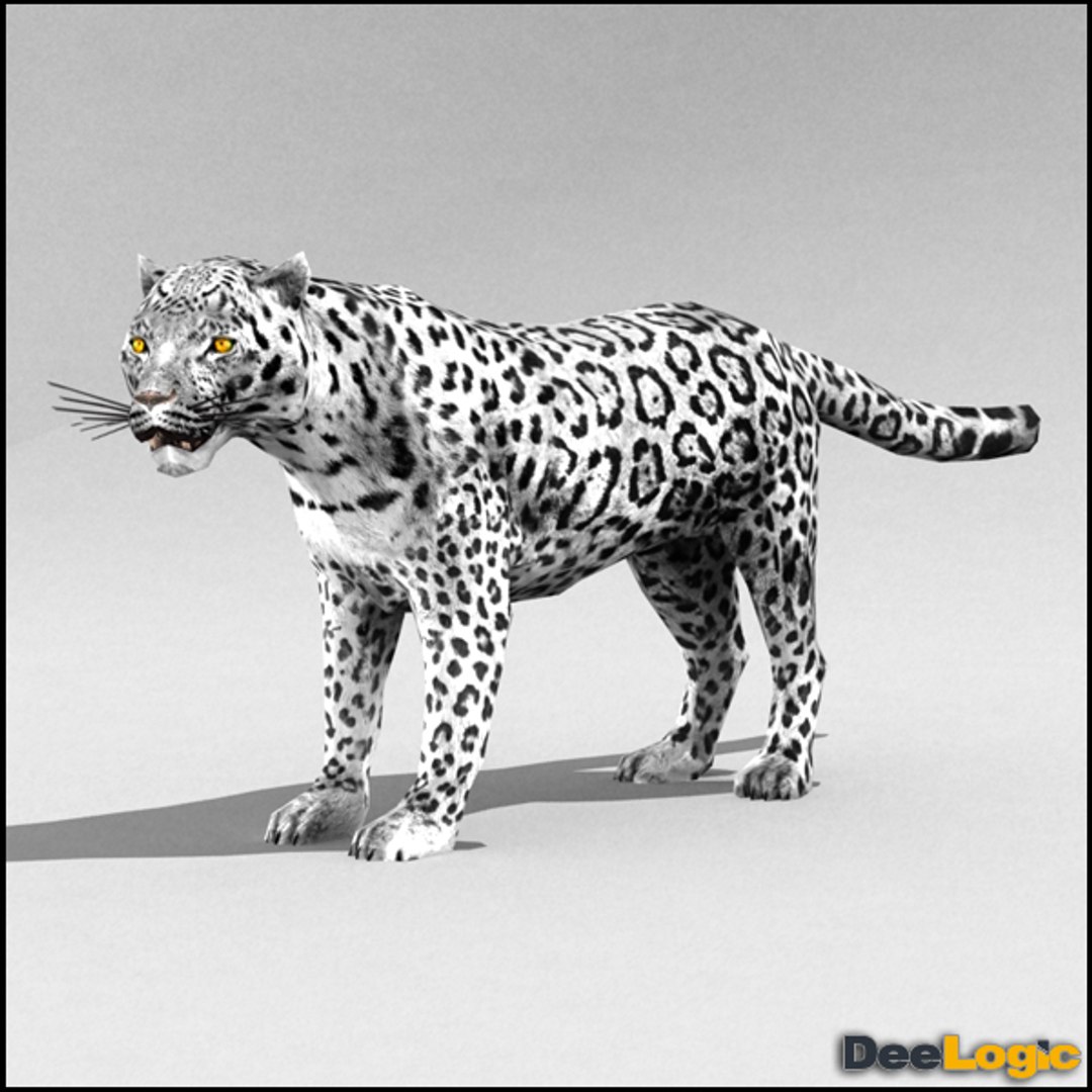 Max Leopard Animations