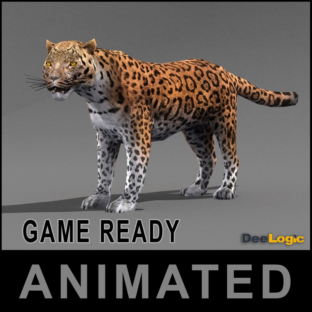 Max Leopard Animations