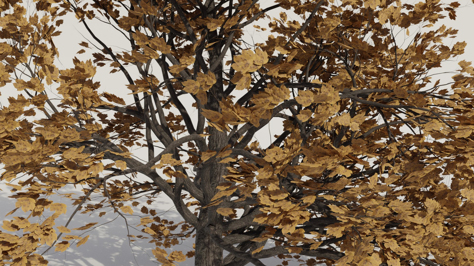 3D Autumn Leaf - TurboSquid 1675074