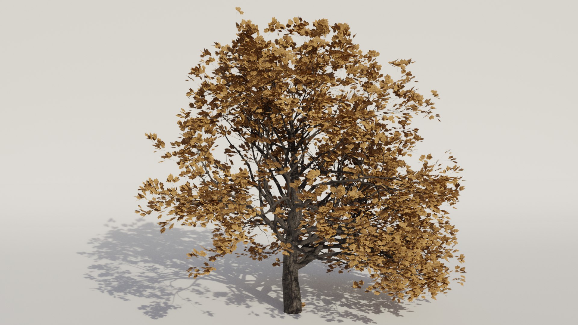 3D Autumn Leaf - TurboSquid 1675074