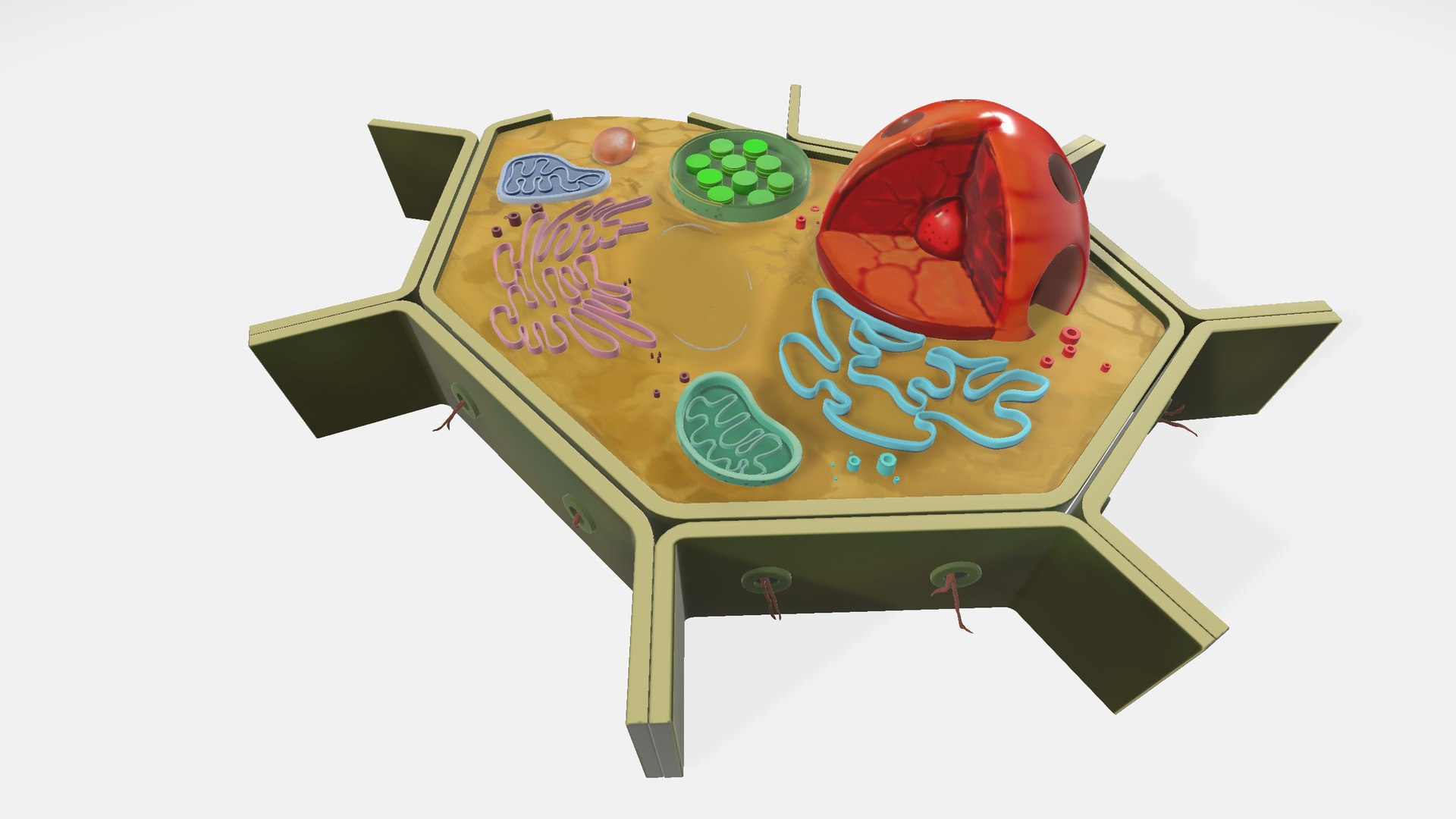 3D Plant Cell - TurboSquid 2321535