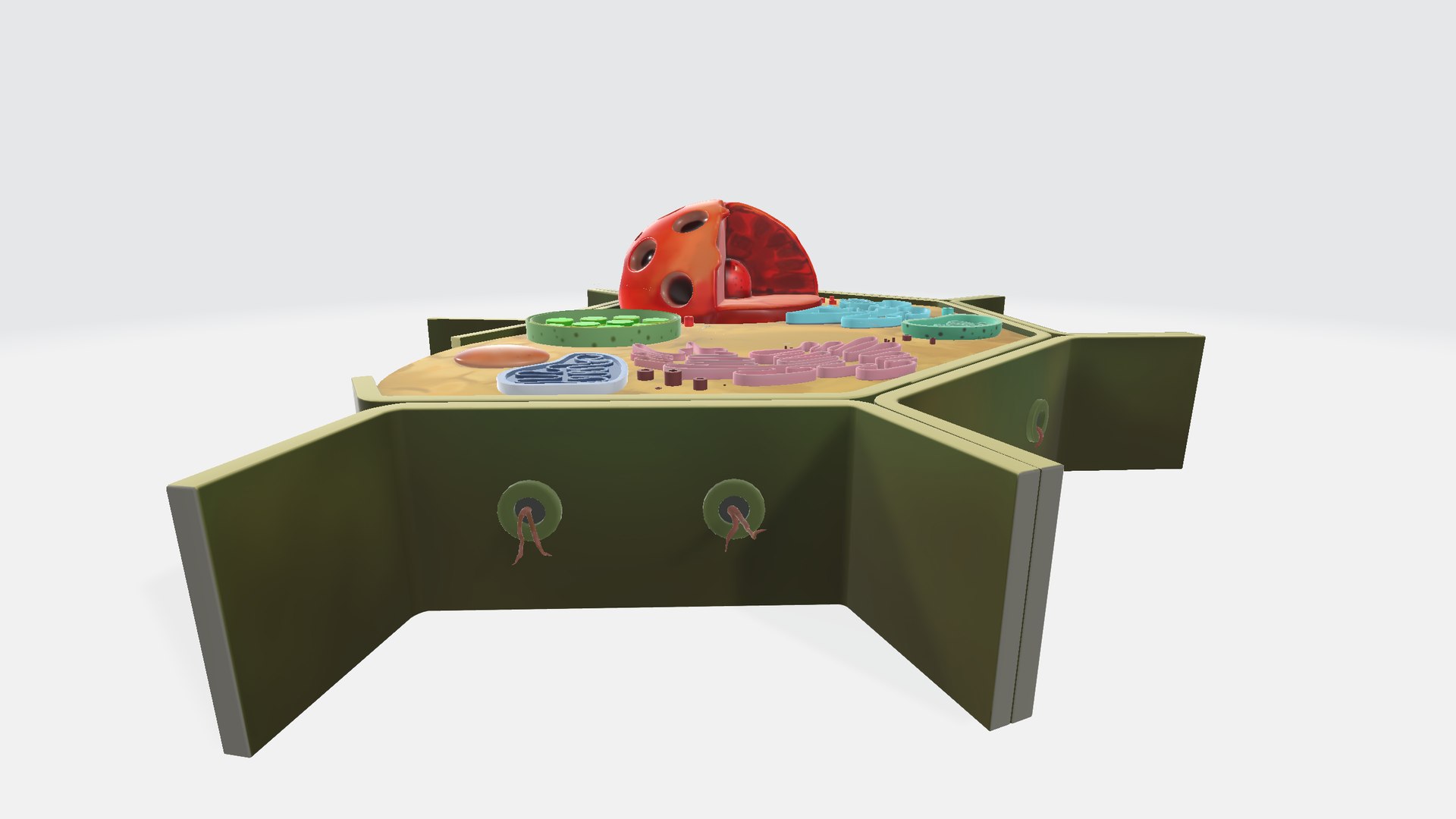 3D Plant Cell - TurboSquid 2321535