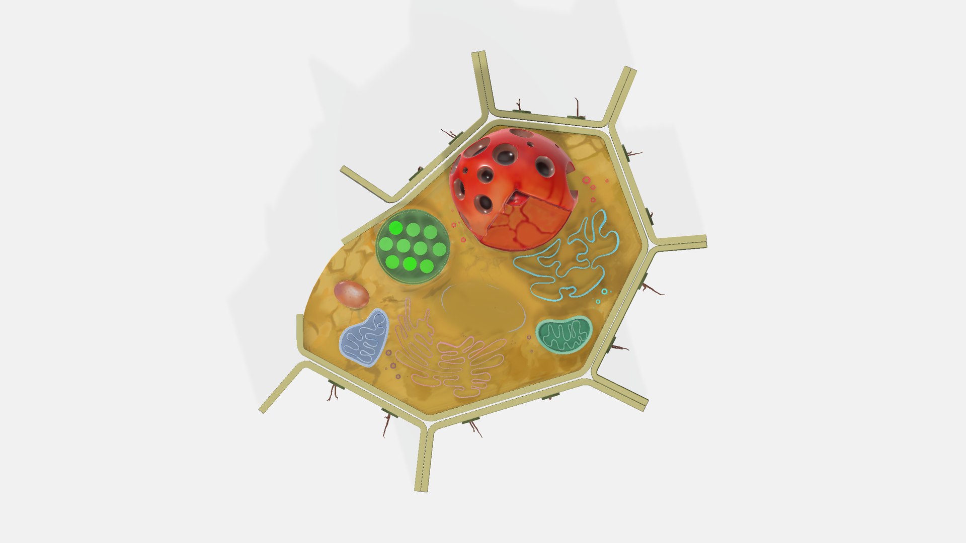 3D Plant Cell - TurboSquid 2321535