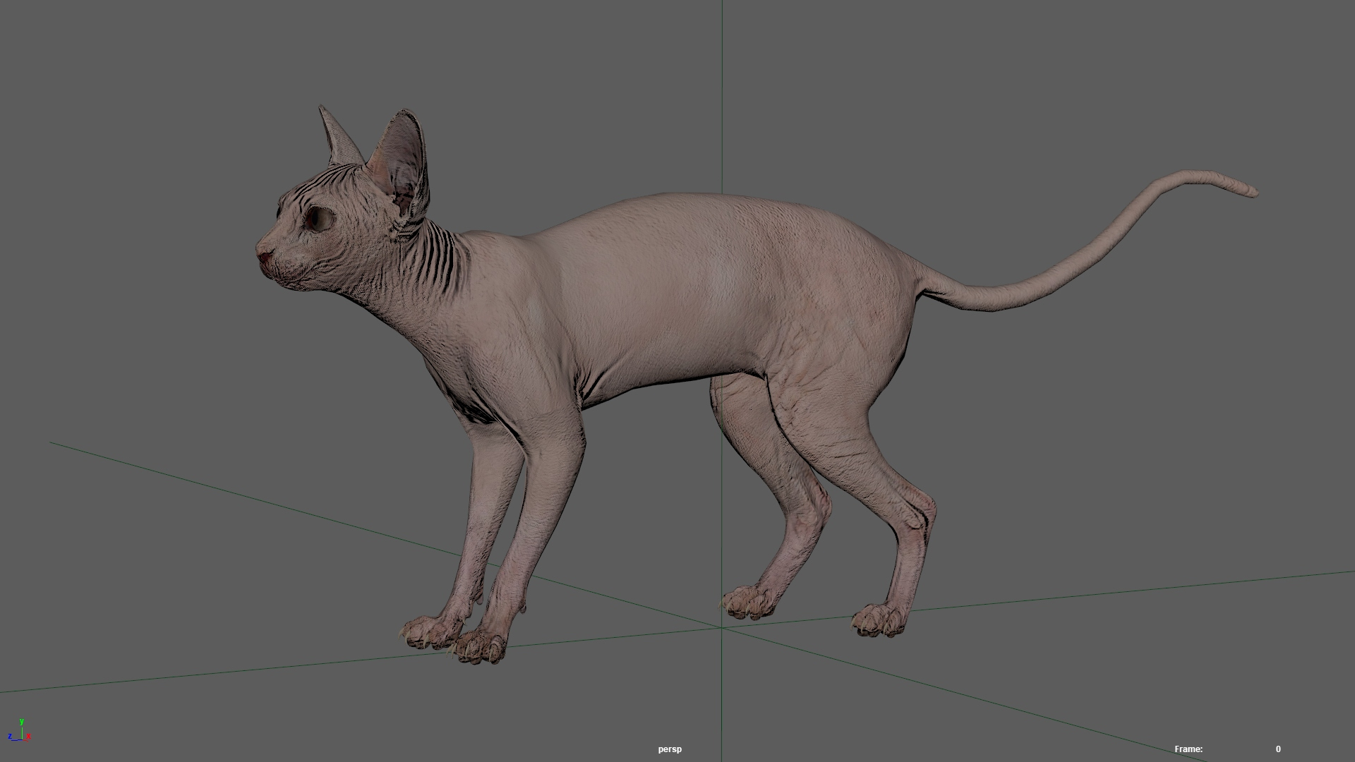 3D Realistic Sphynx Cat Rigged Model - TurboSquid 1979754