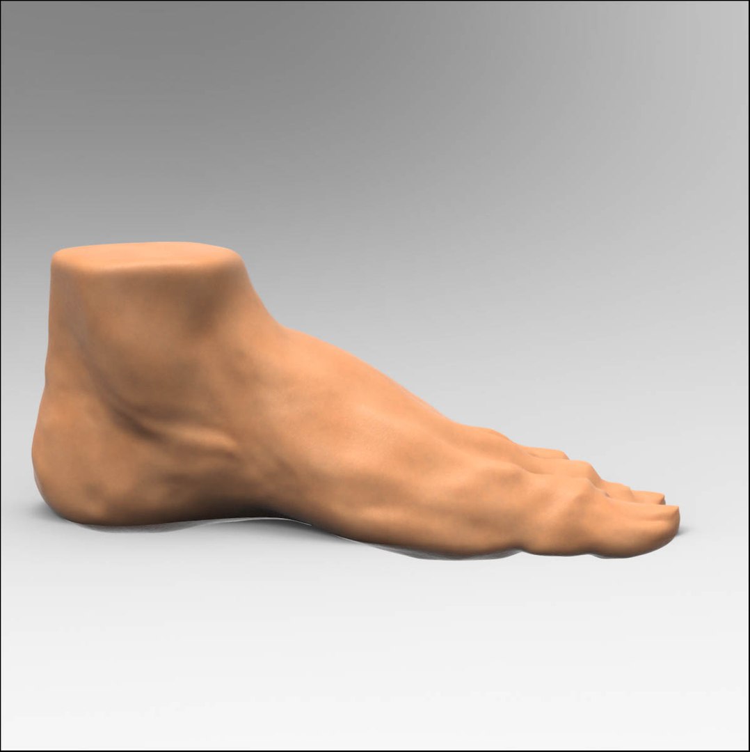 Foot Model - TurboSquid 1378360