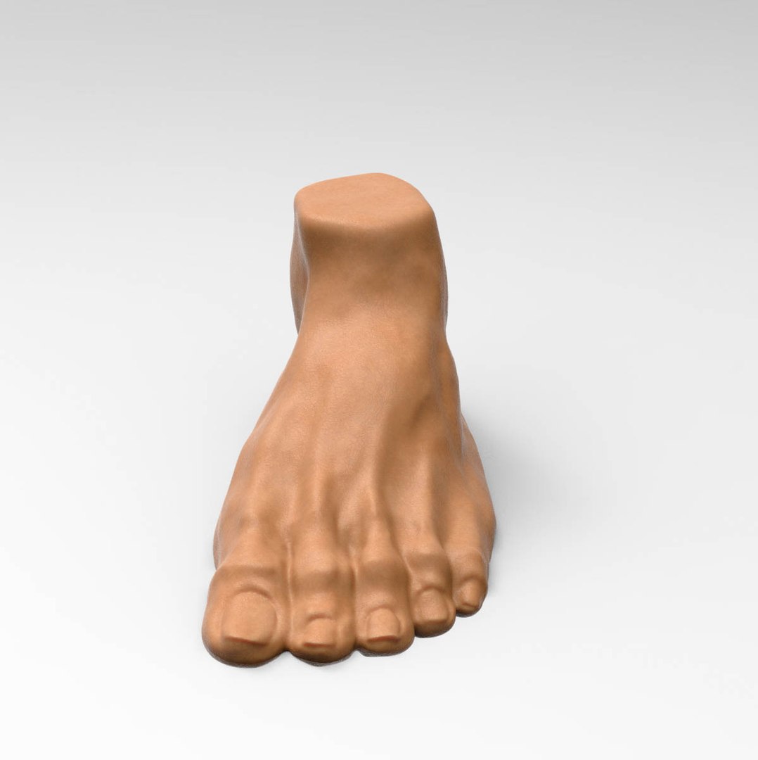 Foot Model - TurboSquid 1378360
