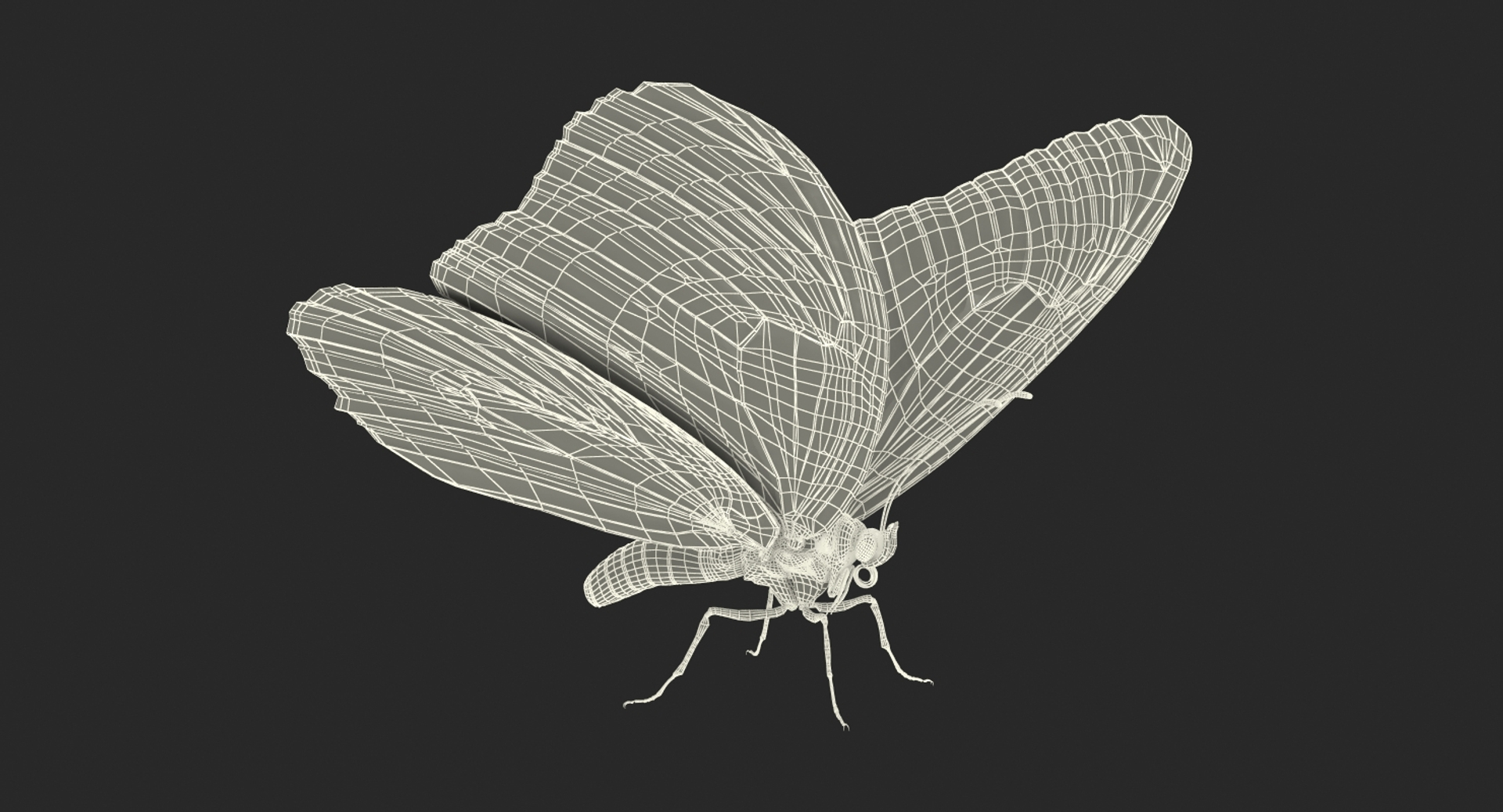 3D Model Monarch Butterfly Rigged - TurboSquid 1260741