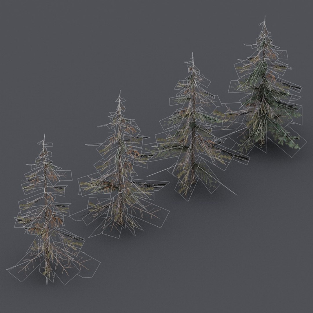 3d model spruce tree