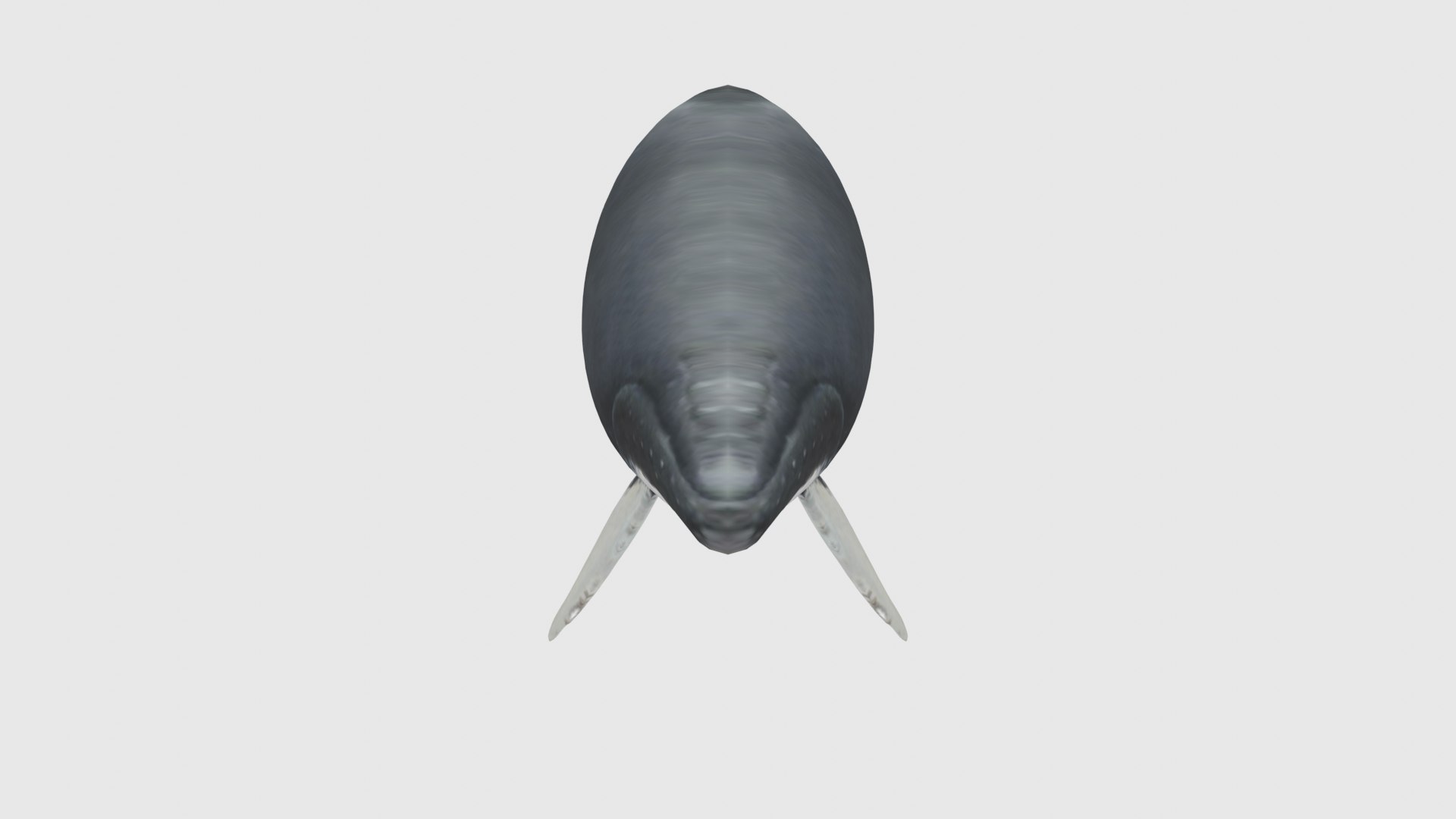 3D Low Poly Whale Rigged With Realistic Texture Model - TurboSquid 1876173