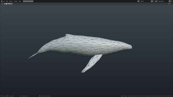 modelo 3d Ballena Low Poly Rigged con textura realista - TurboSquid 1876173