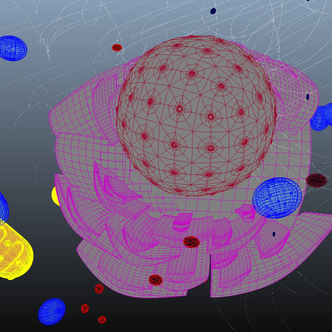 Cell Nucleus 3d Model