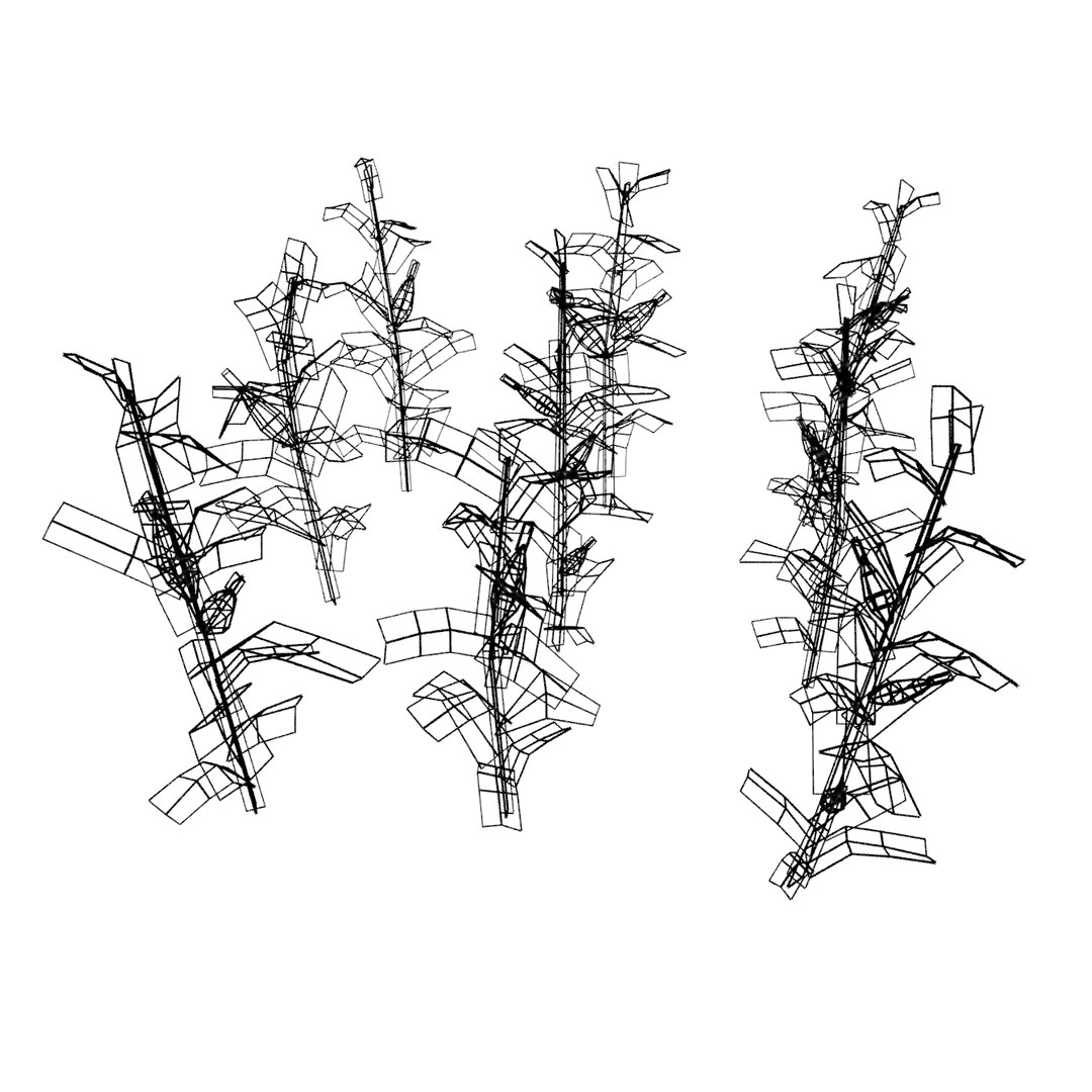 Corn 3 Growth Stages Model - TurboSquid 1323782