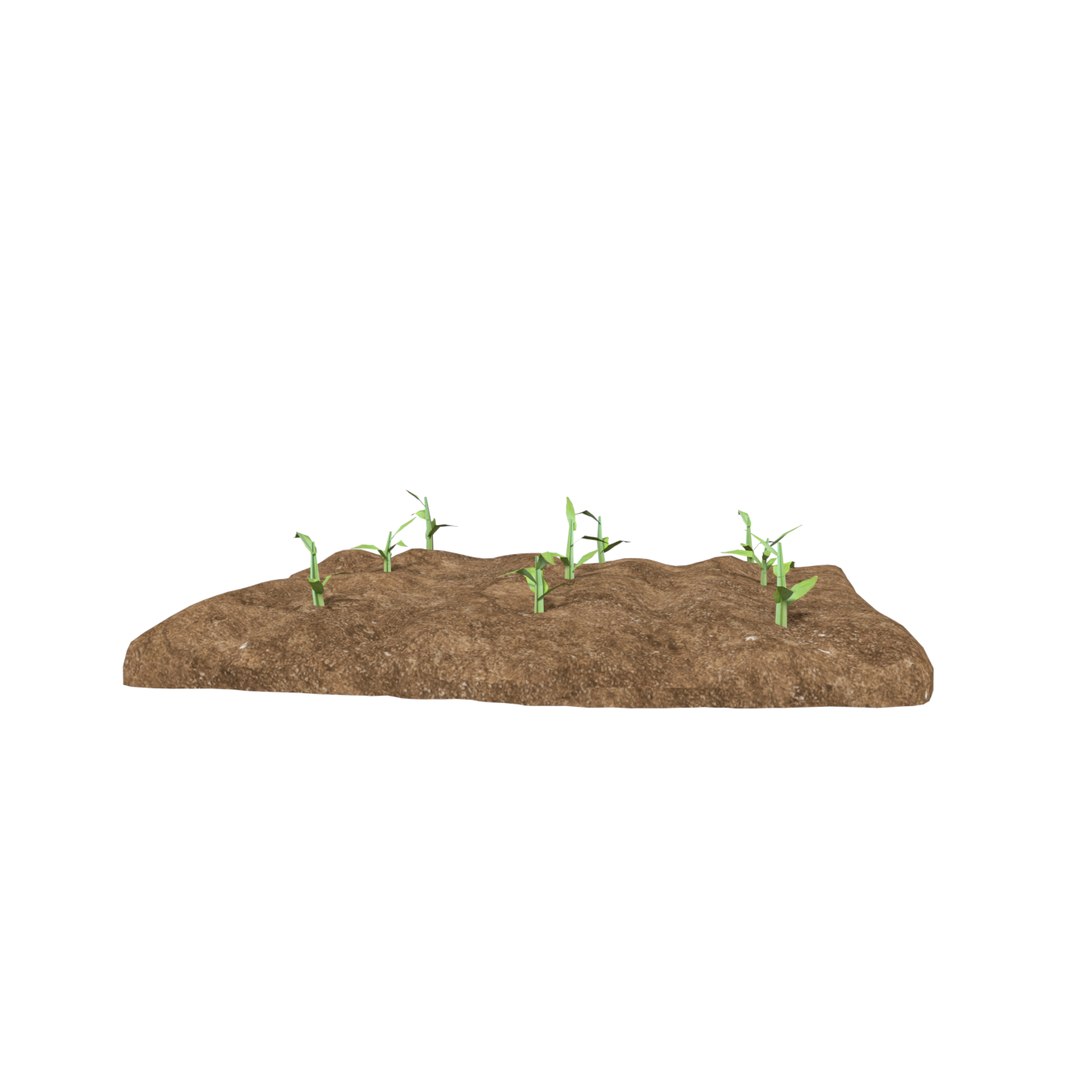 Corn 3 Growth Stages Model - TurboSquid 1323782